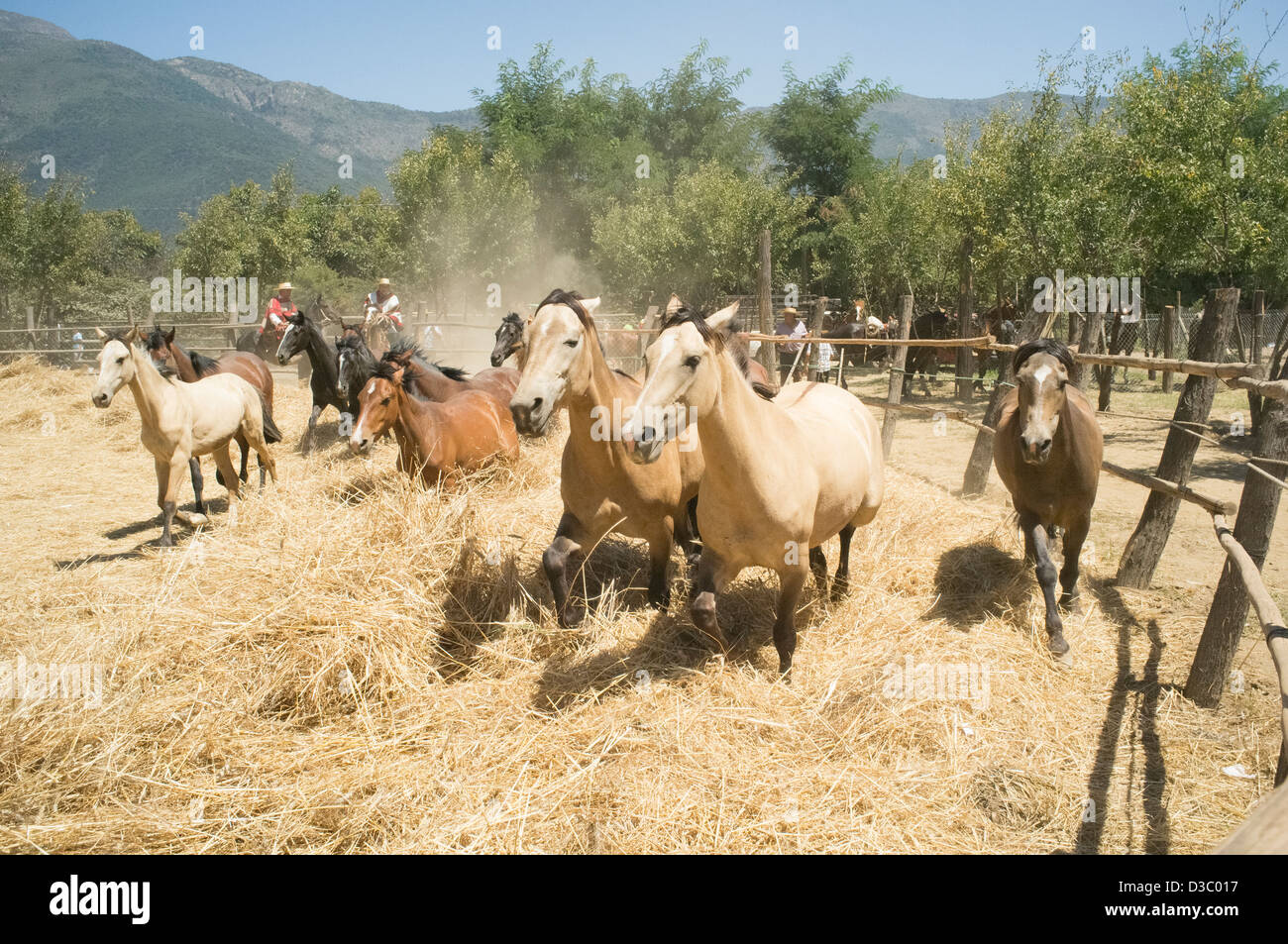 Threshing party hi-res stock photography and images - Alamy