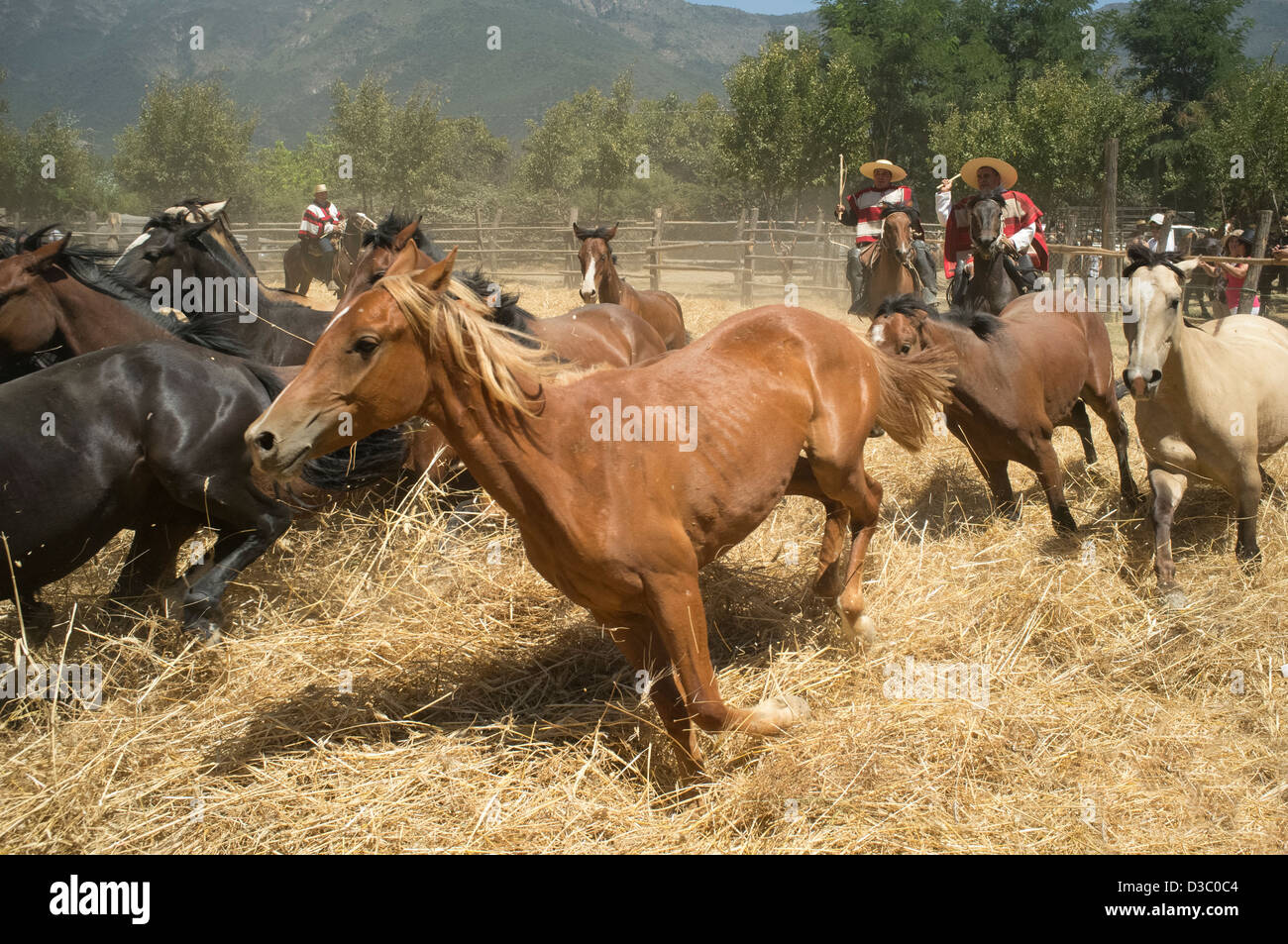 Threshing party hi-res stock photography and images - Alamy