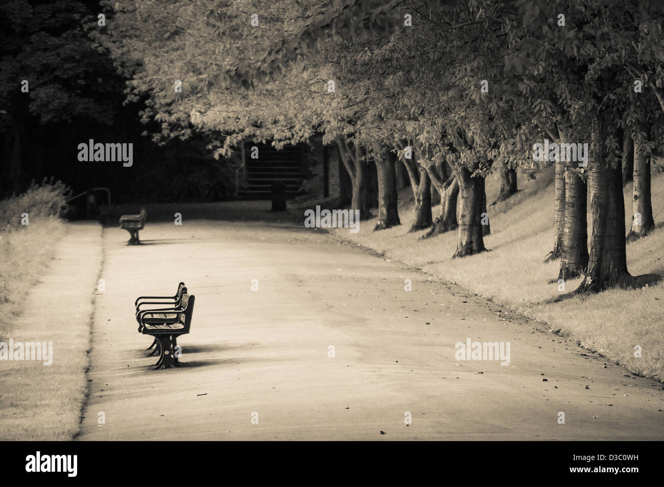 Lonely benches in a park Stock Photo - Alamy