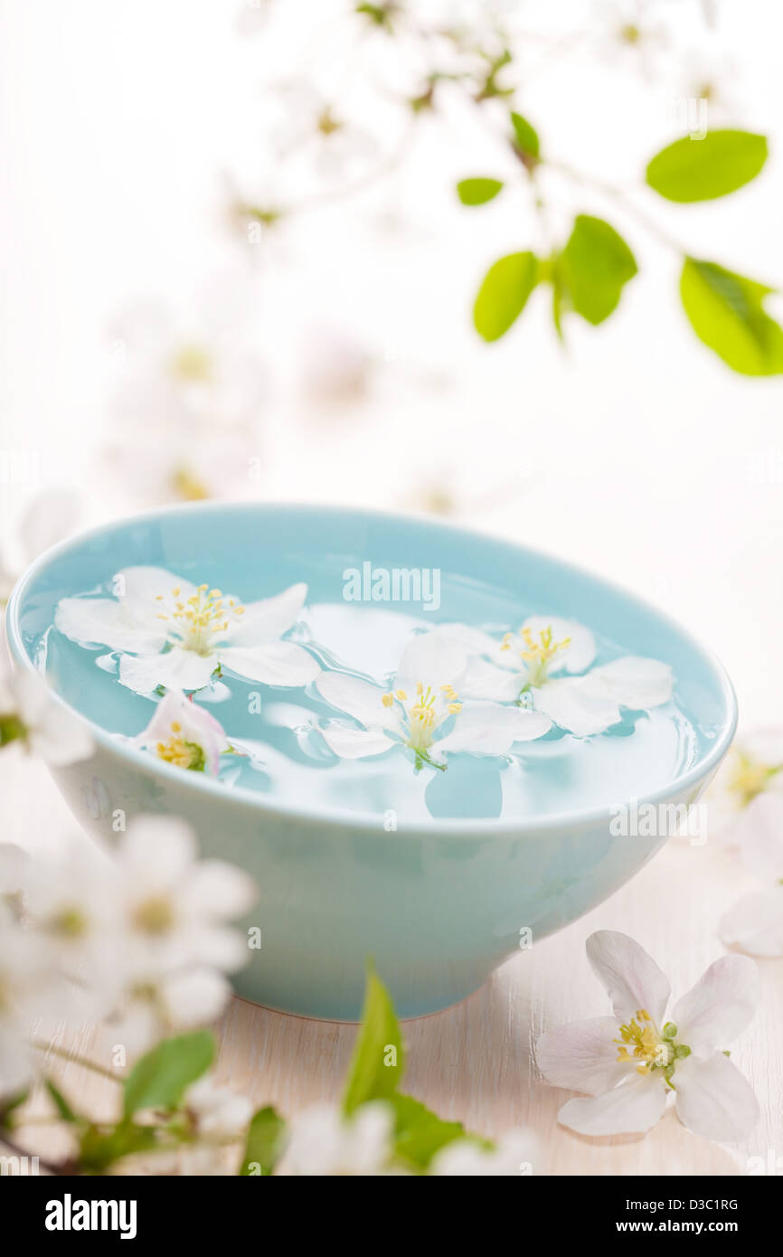 Spring therapy hi-res stock photography and images - Alamy