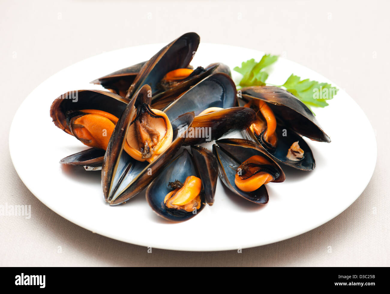 Mussels on a plate Stock Photo - Alamy