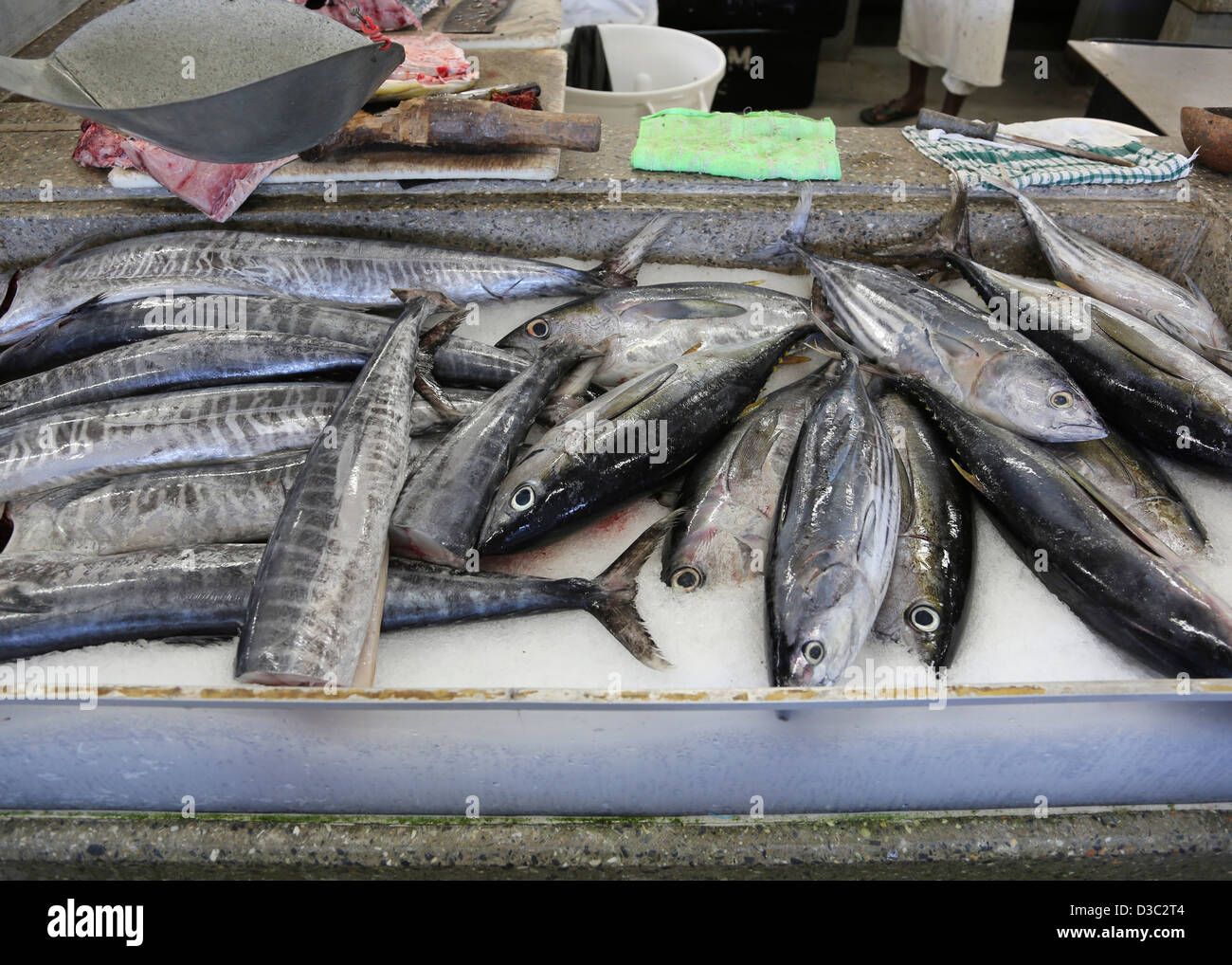 Fresh tuna hi-res stock photography and images - Alamy