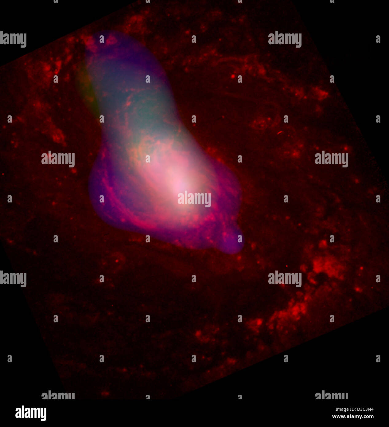 Black Hole Torus: Wind and Reflections (Redux: NASA, Chandra, 7/09/03 ...