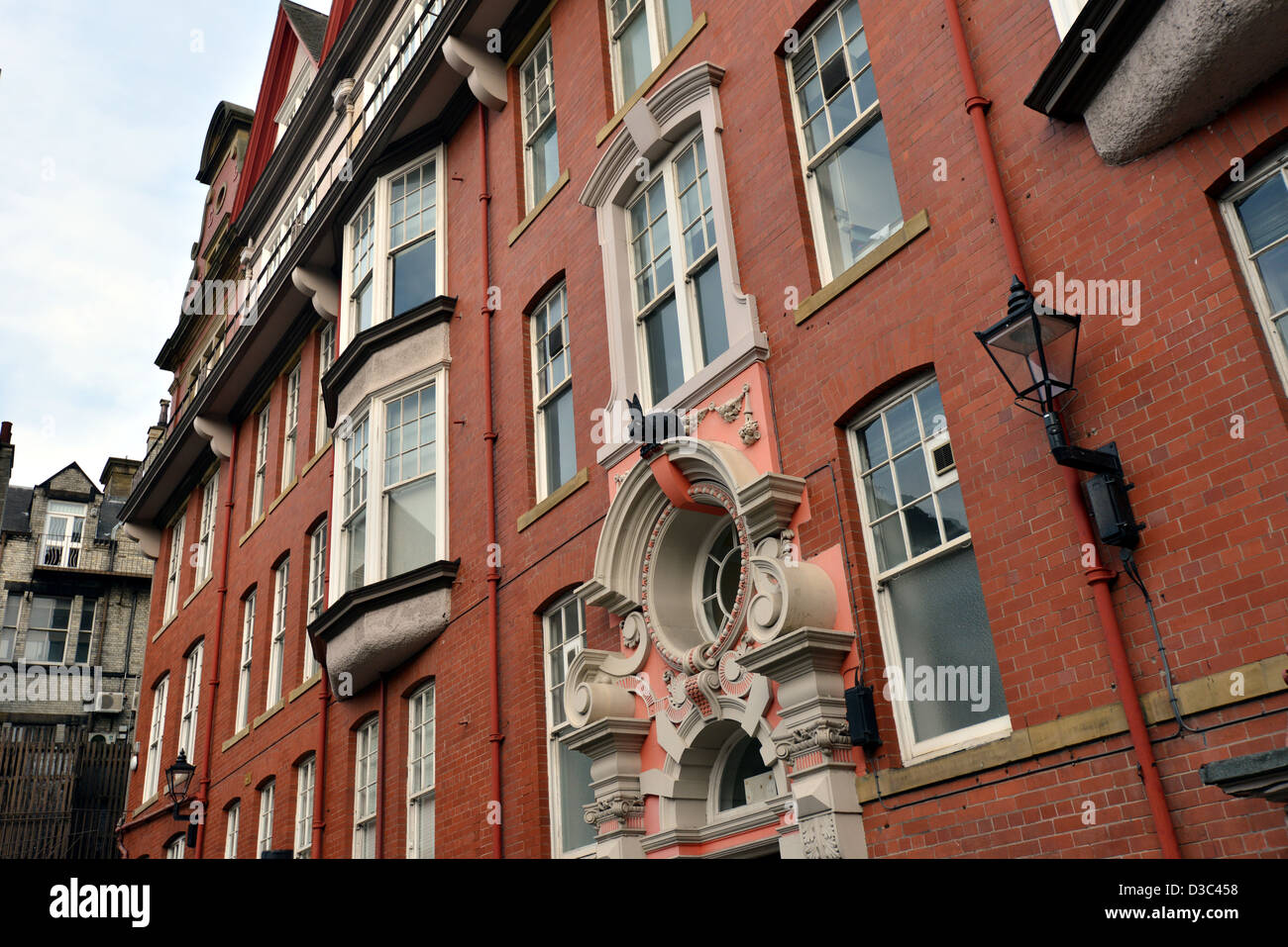 Vampire Rabbit at the back of St Nicholas Church Yard, Newcastle Stock ...