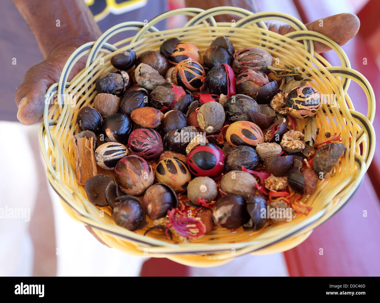 BASKET FULL OF FRESH NUTMEG WITH MACE, CARIBBEAN Stock Photo - Alamy