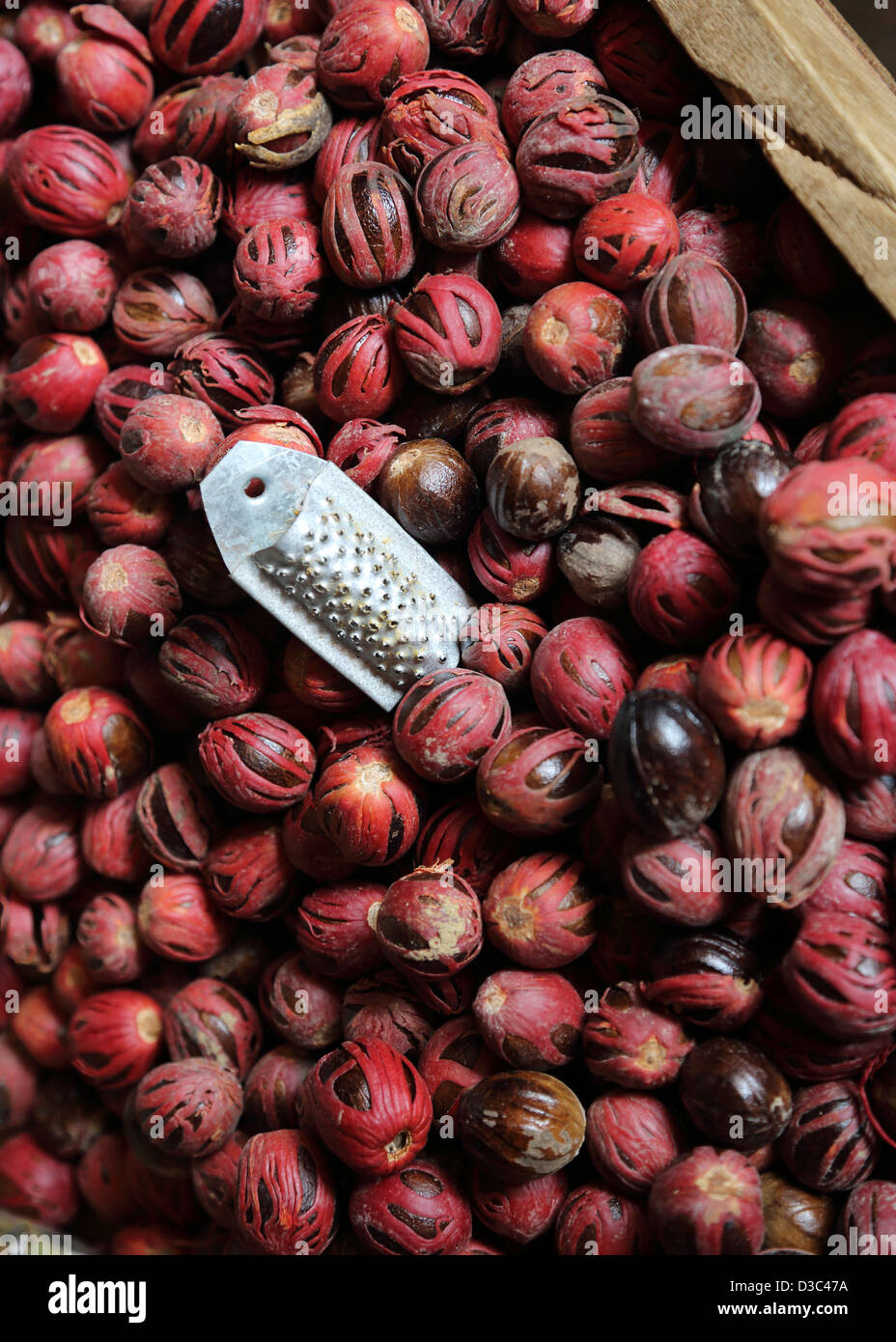 Nutmeg grinder hi-res stock photography and images - Alamy
