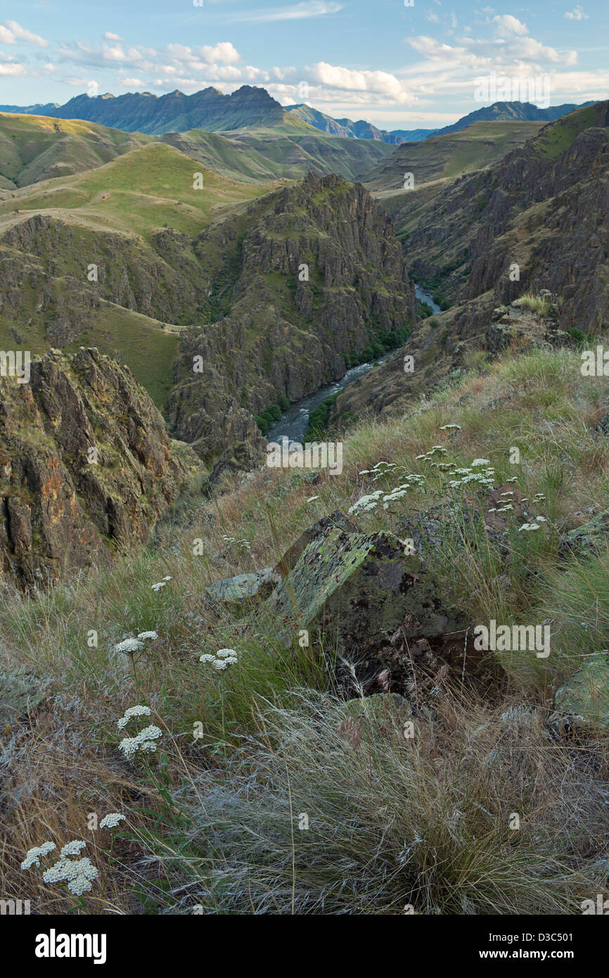 Imnaha River Stock Photos & Imnaha River Stock Images - Alamy