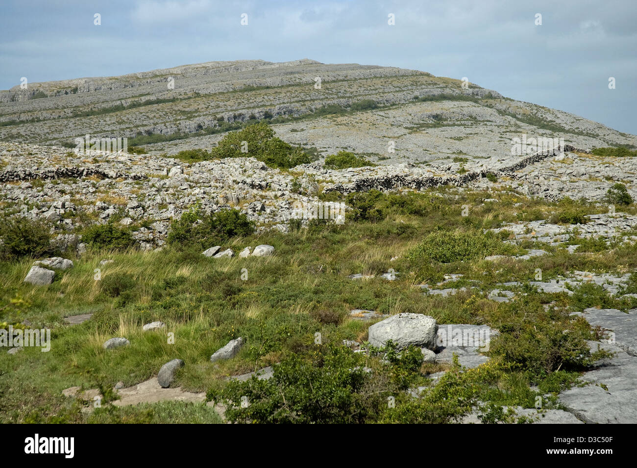 The Burren, Limestone Hills and Stone Walls, Co Clare Ireland Stock ...