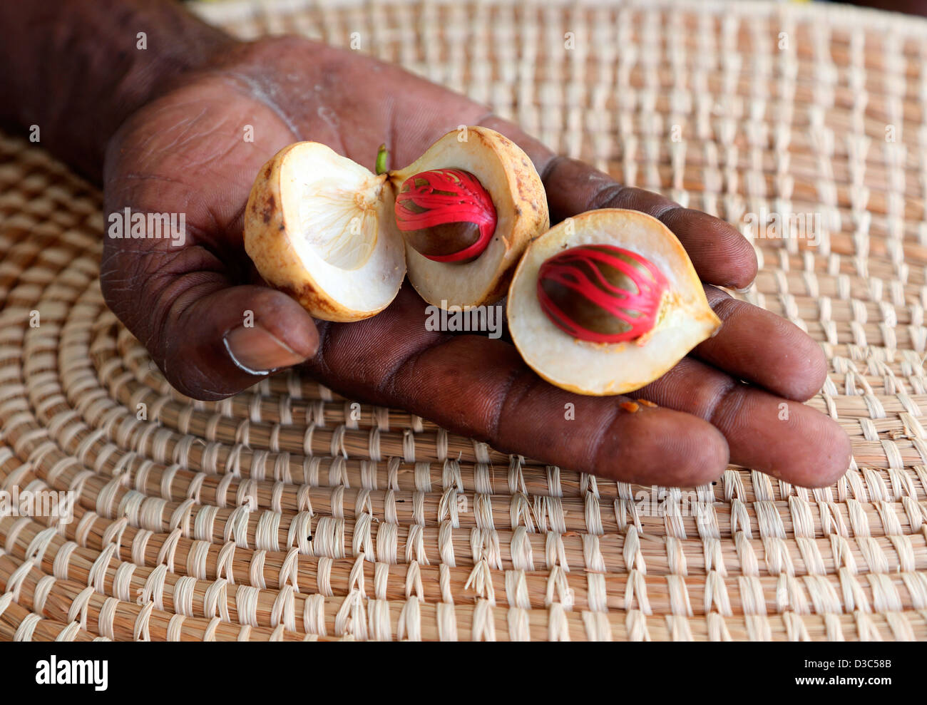 Nutmeg fruit hi-res stock photography and images - Alamy