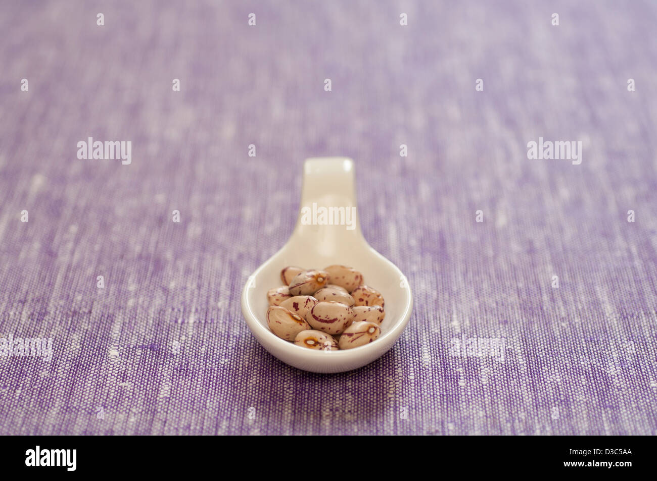 Close-up view of Italian organic Pinto Beans on a wooden plate Stock ...