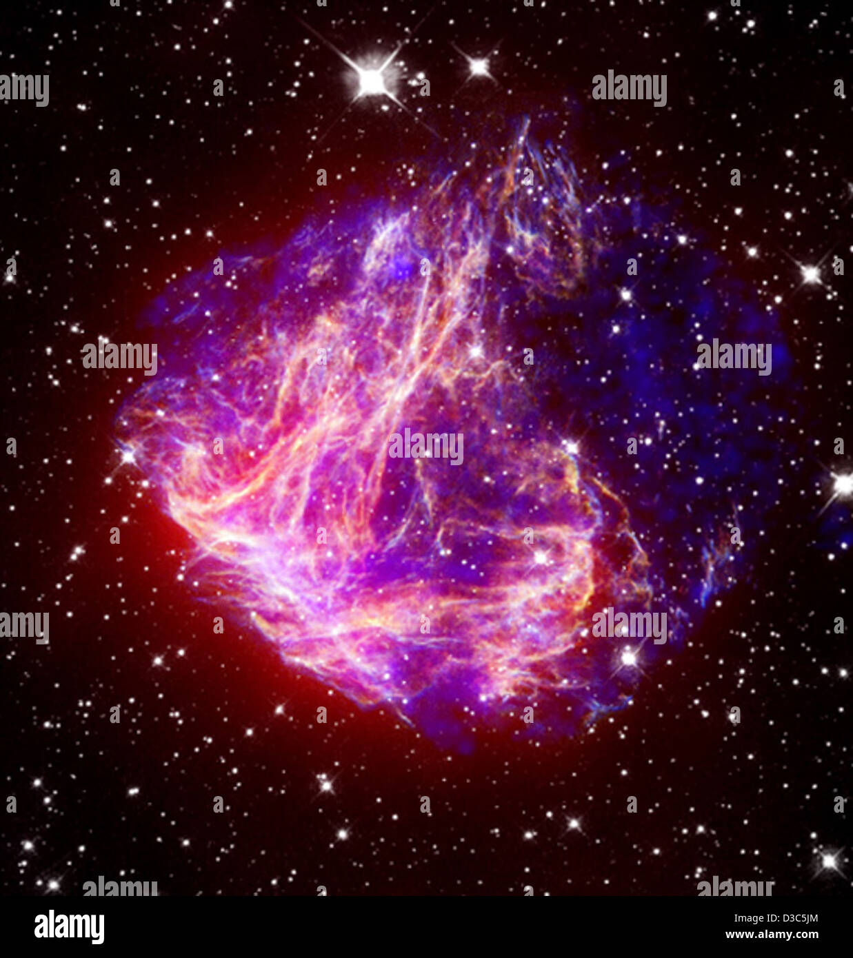 NASA's Chandra X-ray Observatory captured the image of Supernova N49 in ...
