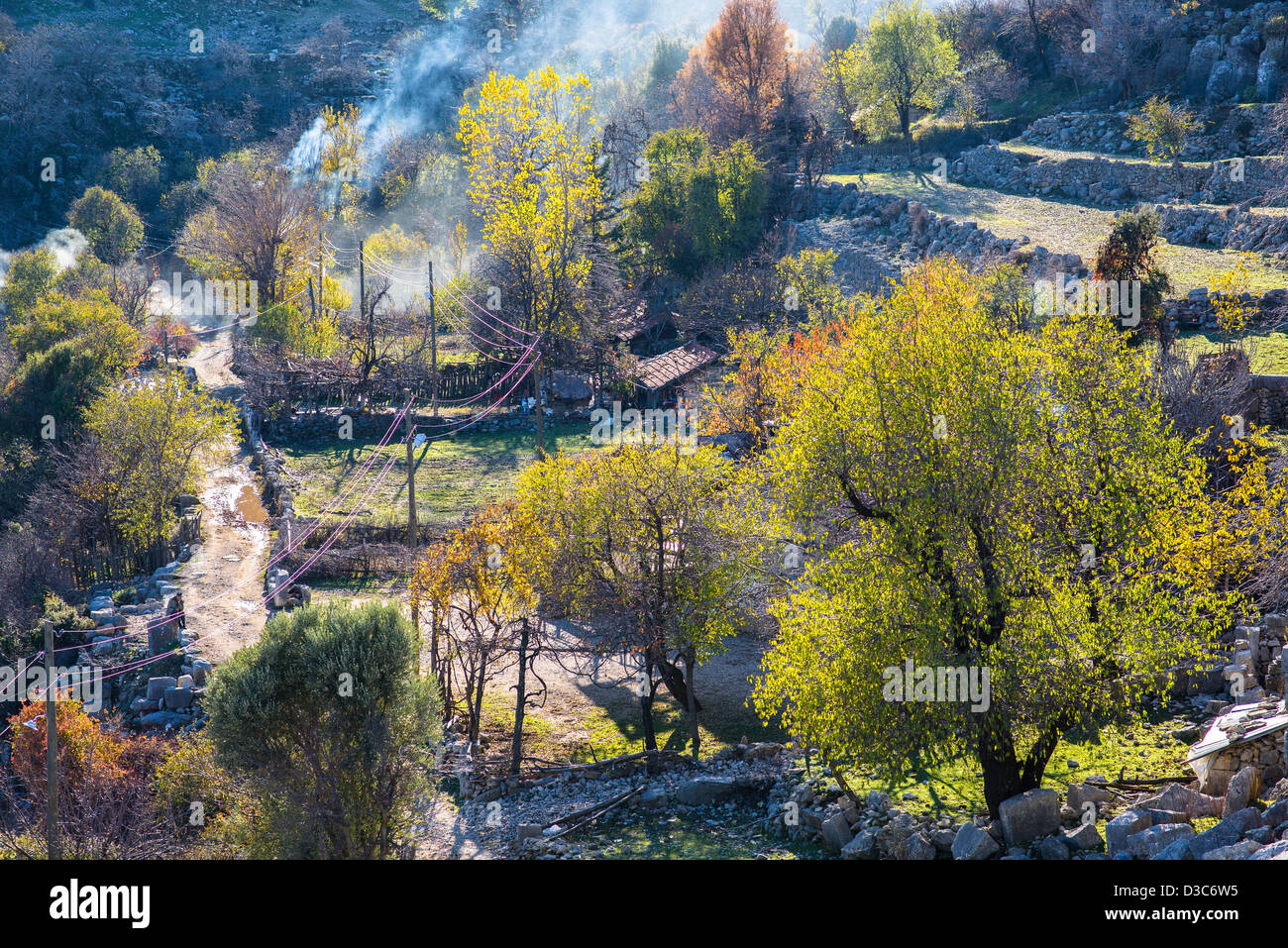 Selge hi-res stock photography and images - Alamy