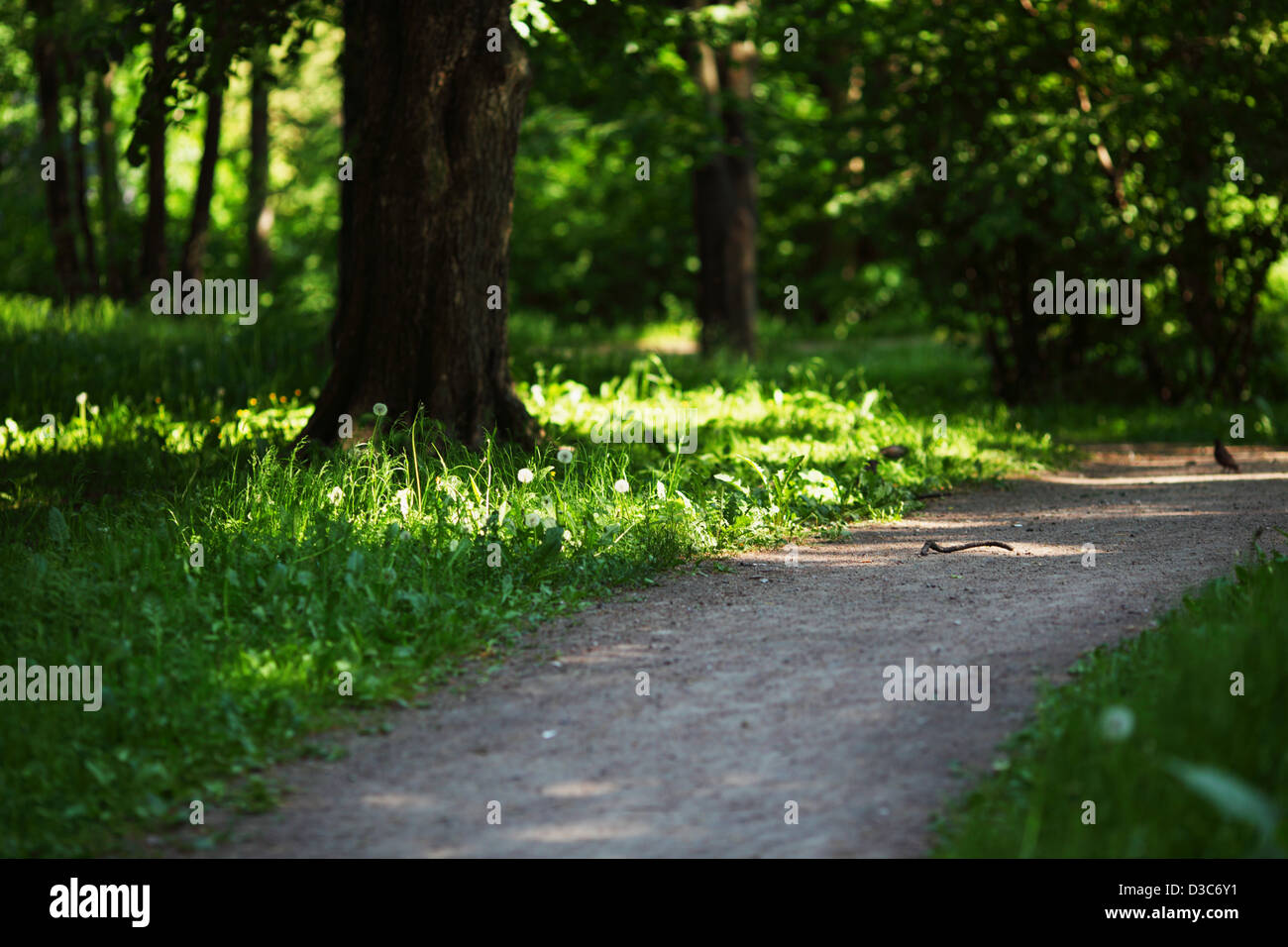 Spring Park nature background Stock Photo - Alamy