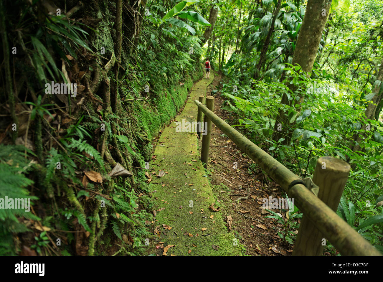 domaine d'emeraude, Morne Rouge, Martinique Island, Lesser Antilles ...