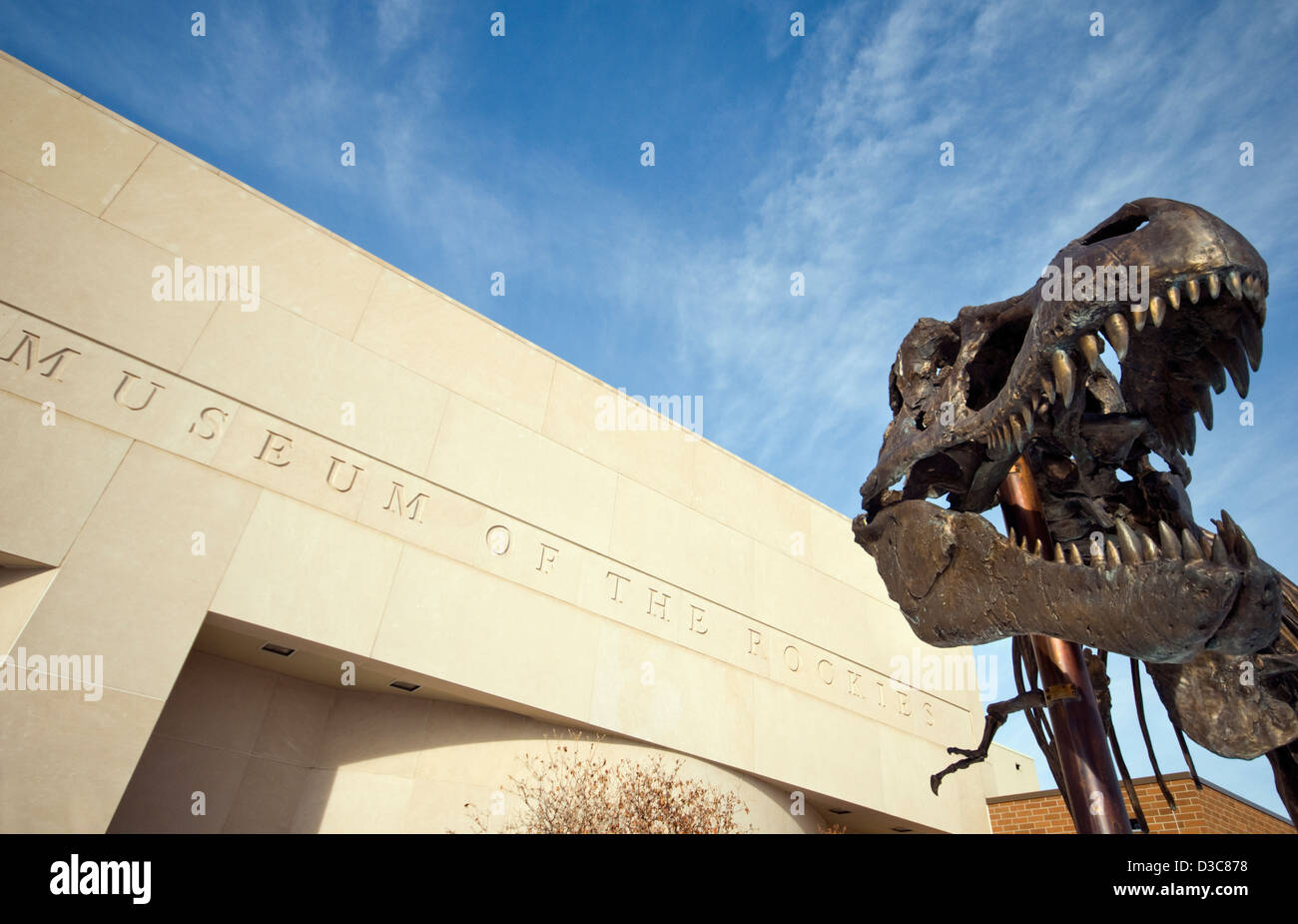 Bronze dinosaur skeleton (known as Big Mike) outside the Museum of the ...