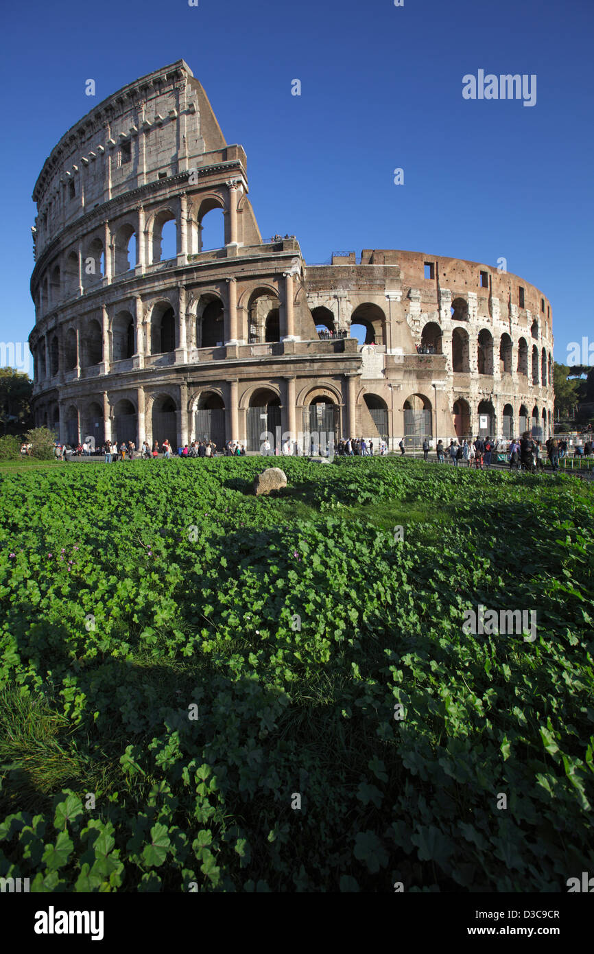 Colosseum rome colosseo vertical hi-res stock photography and images ...