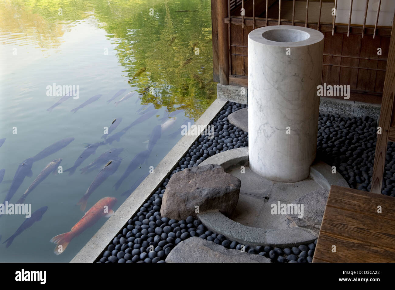 Koi fish hi-res stock photography and images - Alamy