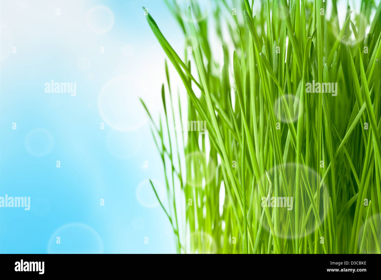 Bokeh sky background hi-res stock photography and images - Alamy