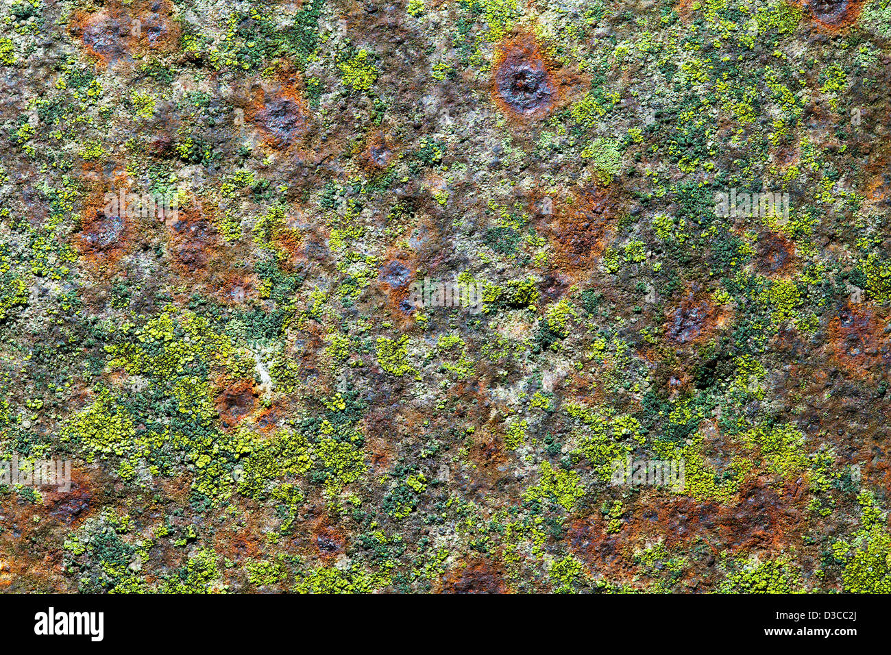 Old rusty iron for background with spots of moss Stock Photo - Alamy