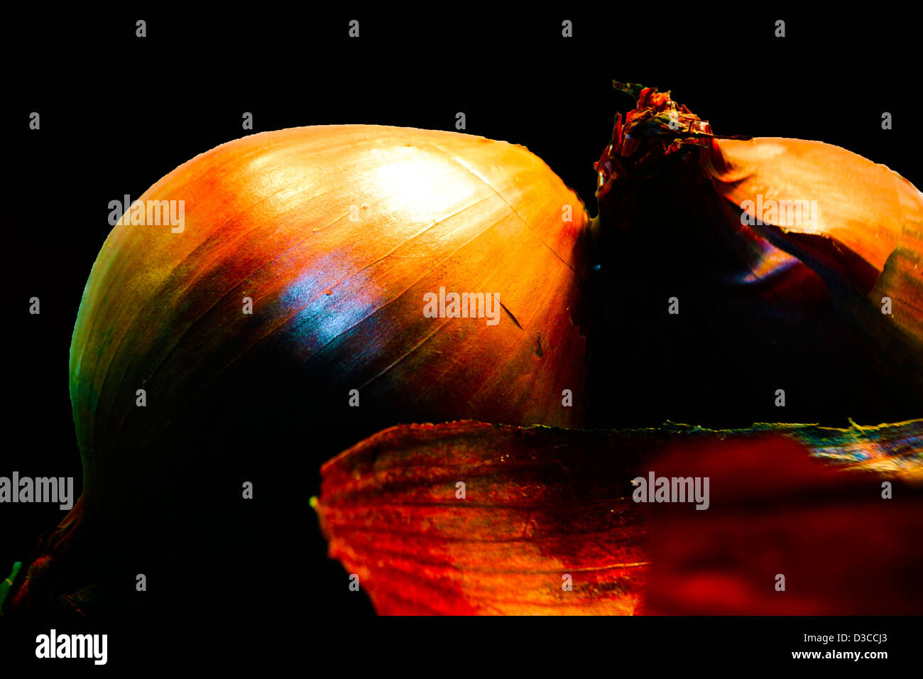 Two large onions hi-res stock photography and images - Alamy