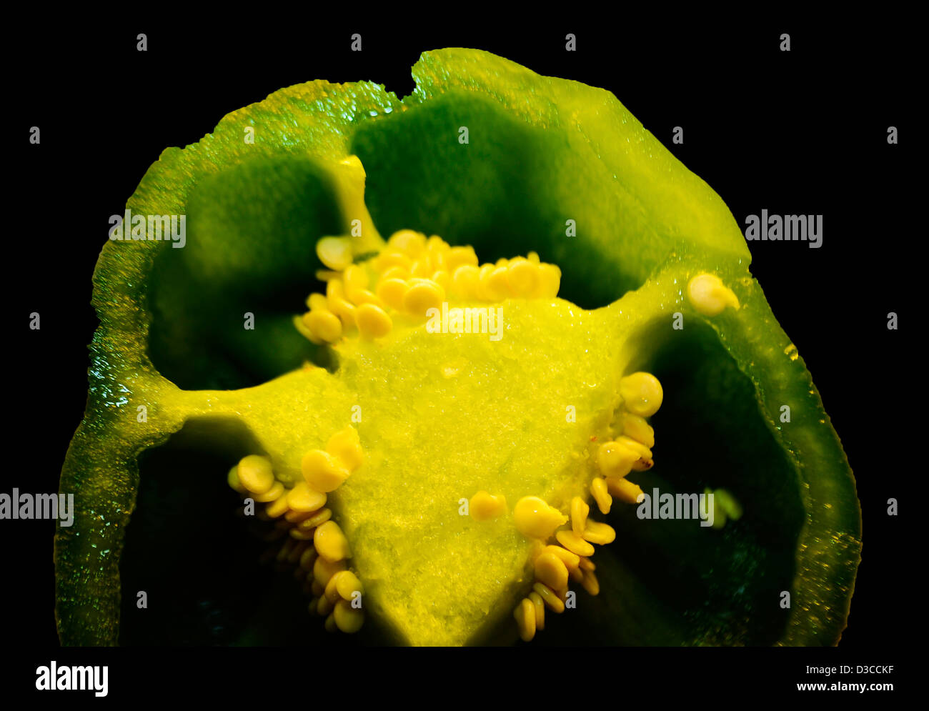 green pepper half Stock Photo - Alamy