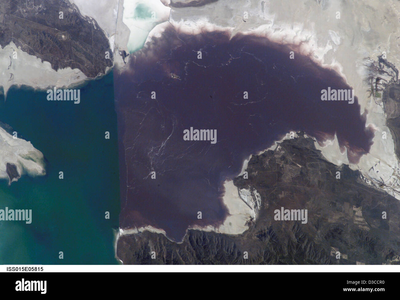 Algae in Great Salt Lake, Utah (NASA, International Space Station ...