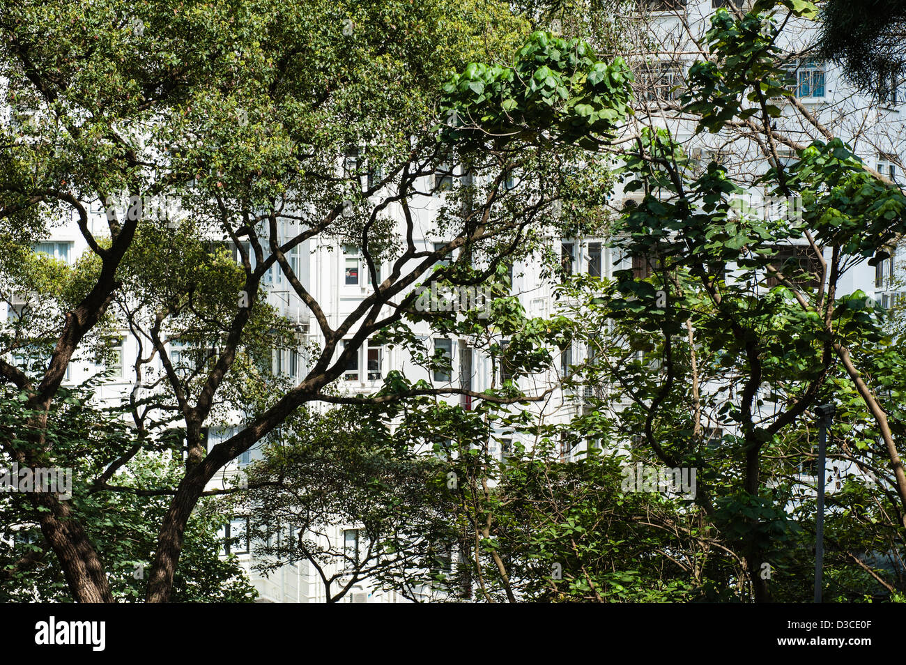 Hong Kong, March 2012 Appartment buildings covered by trees in the ...