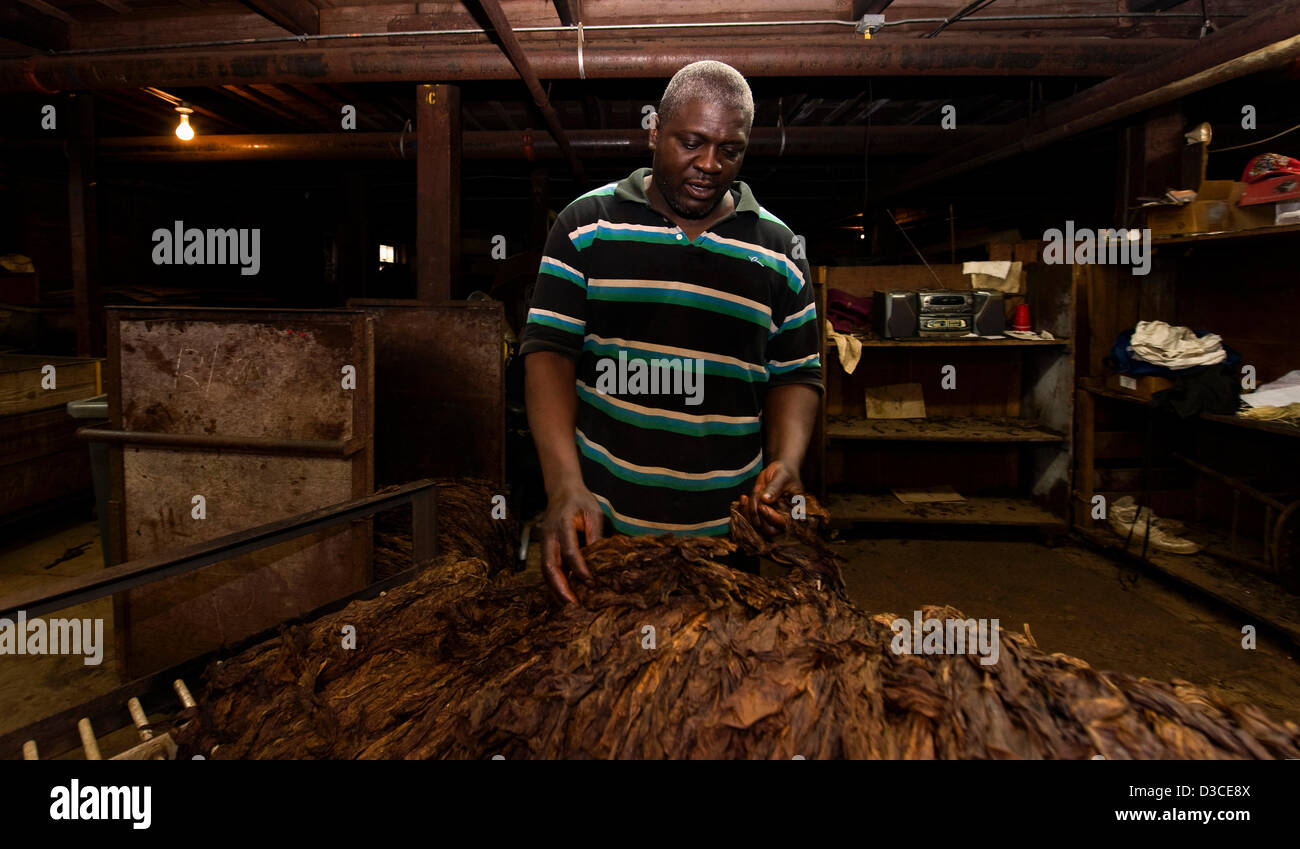 Cuban cigar history hi-res stock photography and images - Alamy