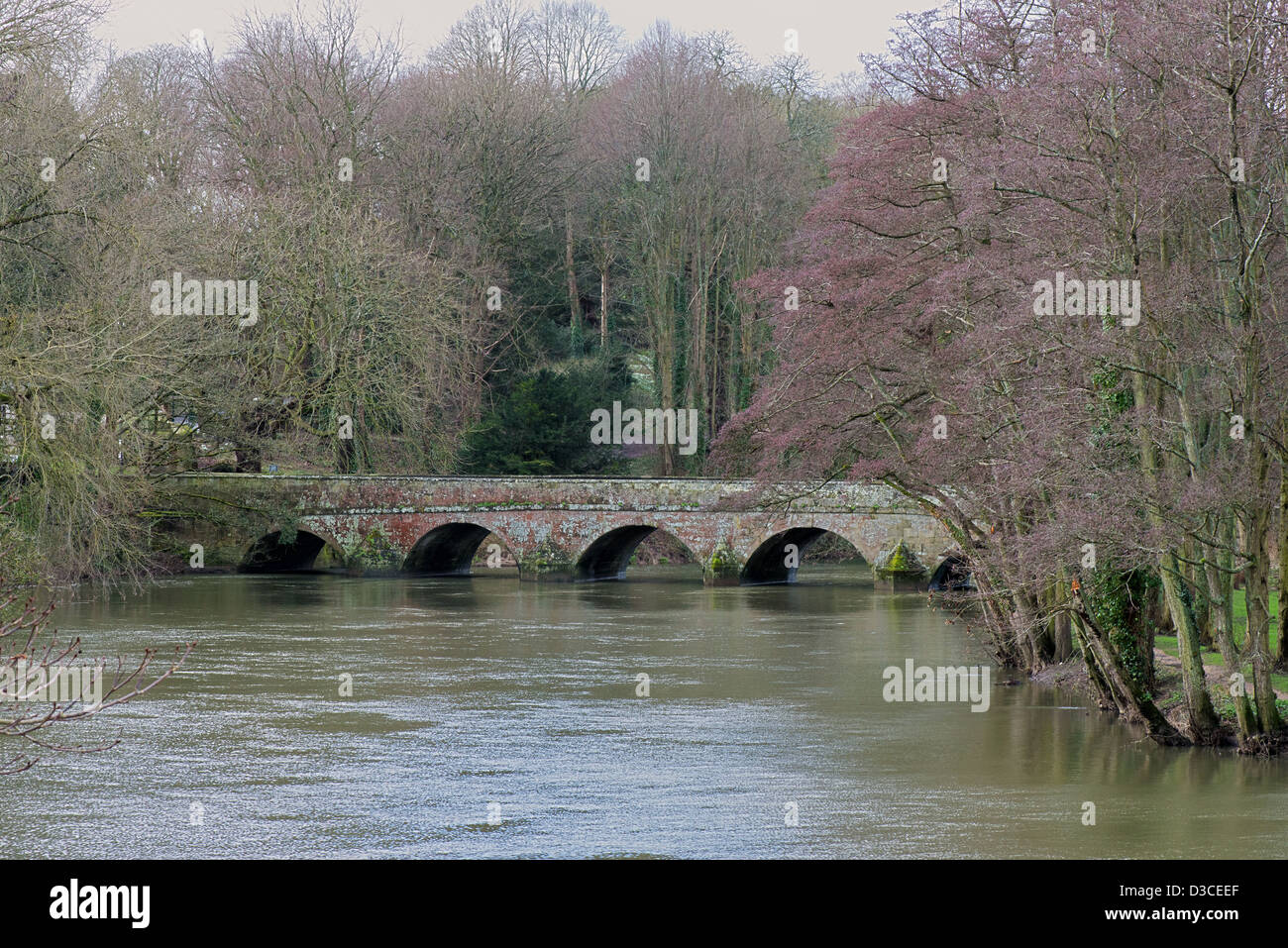 THE BRIDGE ON THE RIVER STOUR AT BLANDFORD FORUM, NORTH DORSET, ENGLAND ...