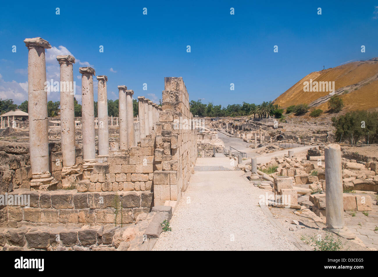Ruins of the Roman city Scythopolis in the Bet Shean National Park ...