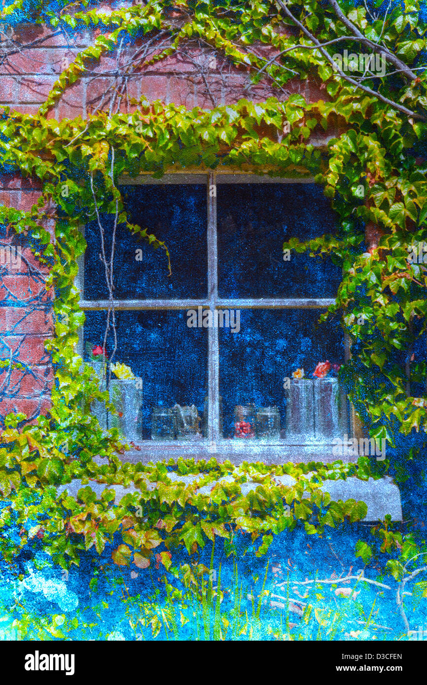 View shop window hi-res stock photography and images - Alamy