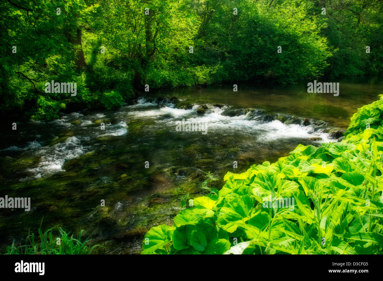 River Wye in Monsal Dale Derbyshire England Stock Photo - Alamy
