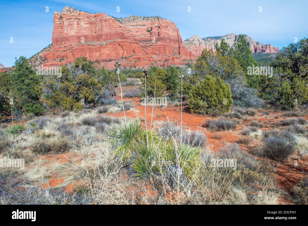 Sedona Arizona , area landscape with red sandstone cliffs Stock Photo ...