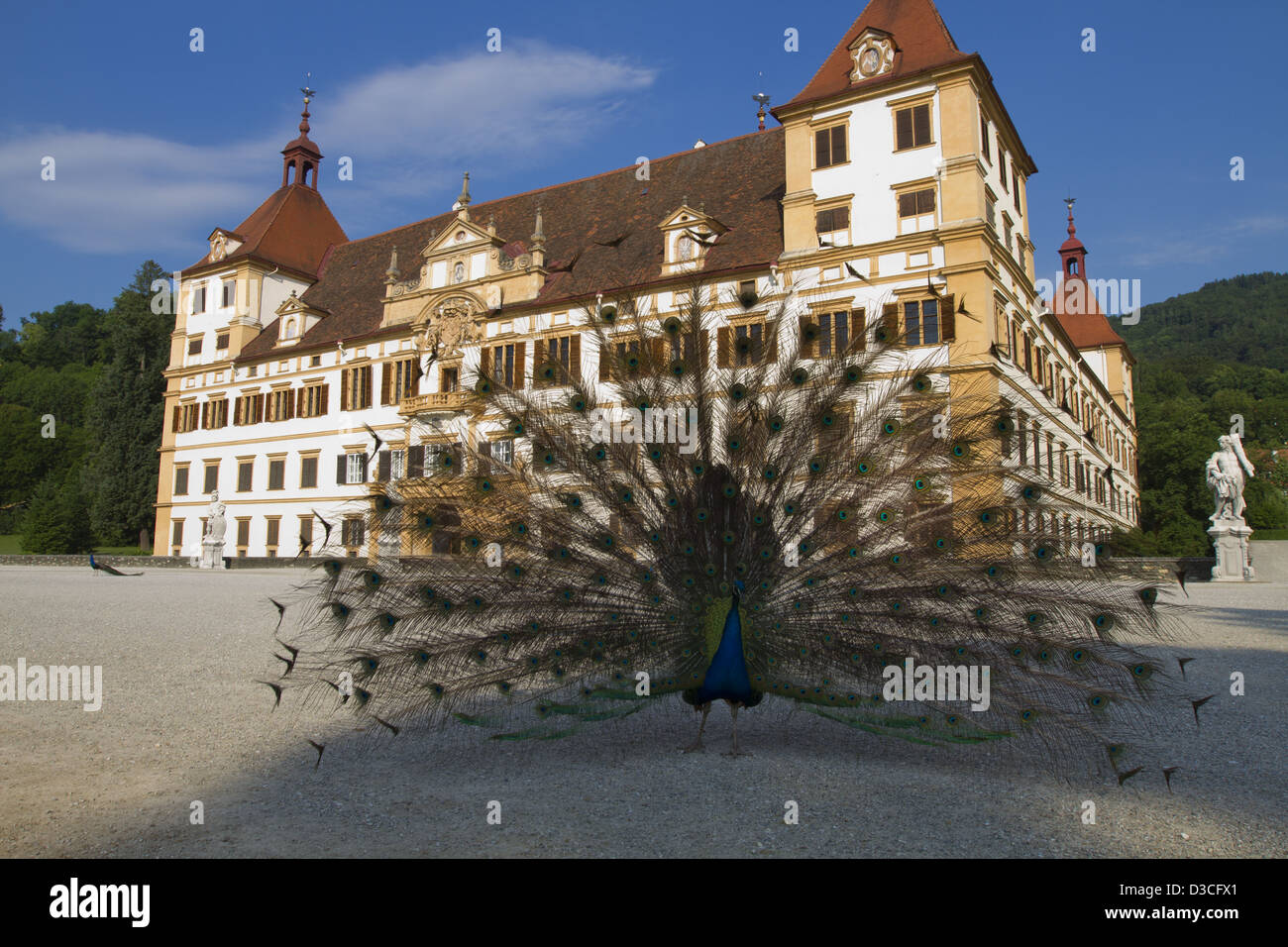 Austria, Styria, Graz, Eggenberg Castle, Peacock Stock Photo - Alamy