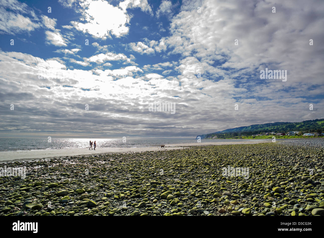 Homer family hi-res stock photography and images - Alamy