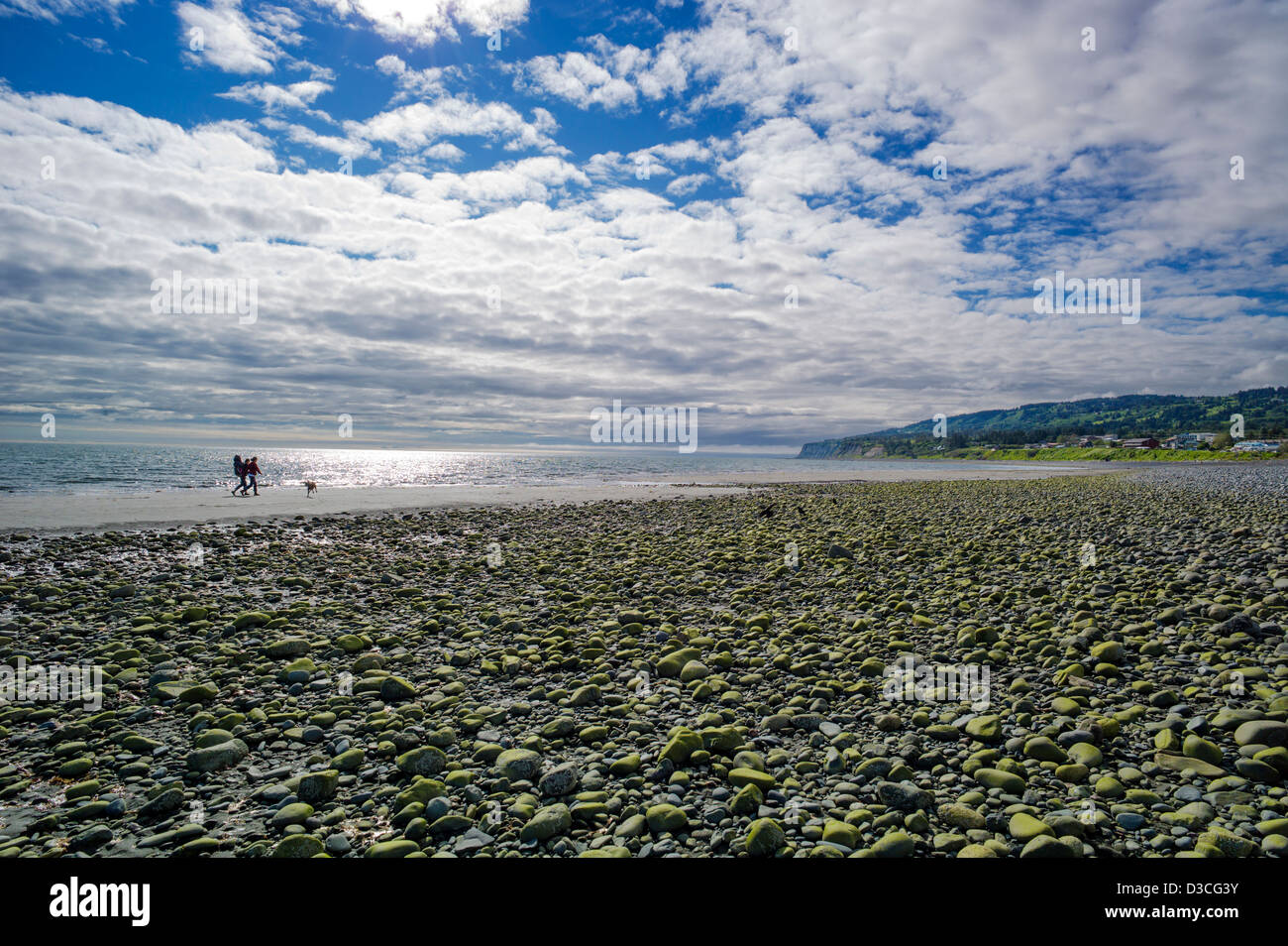 Homer family hi-res stock photography and images - Alamy