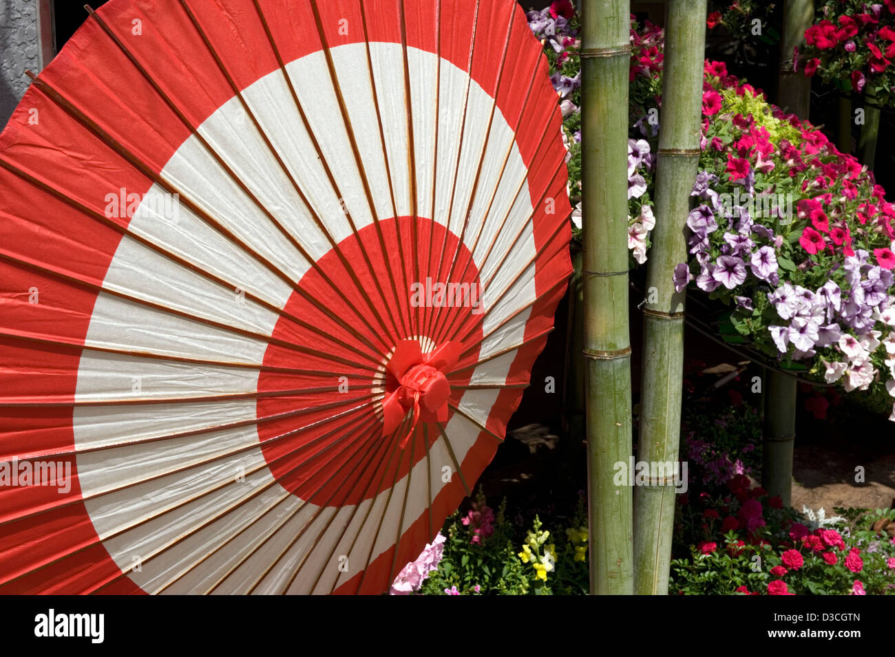 Colorful, cheerful Japanese aesthetic composition with traditional red ...