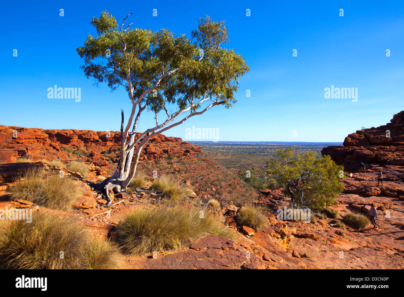 Kings Canyon Northern Territory Central Australia Stock Photo - Alamy