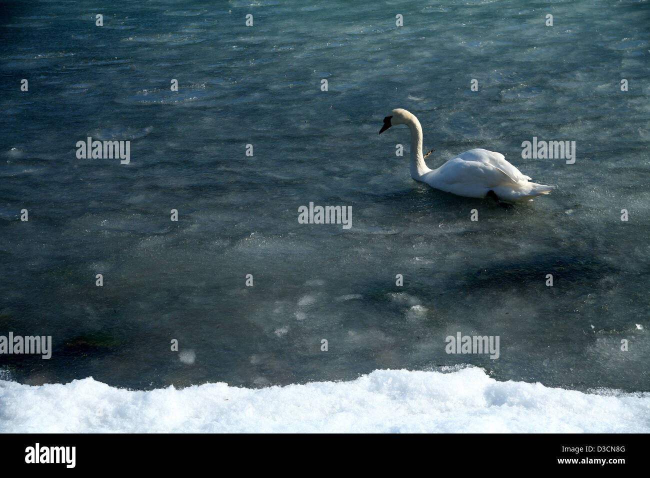 Denmark sea swimming hi-res stock photography and images - Alamy