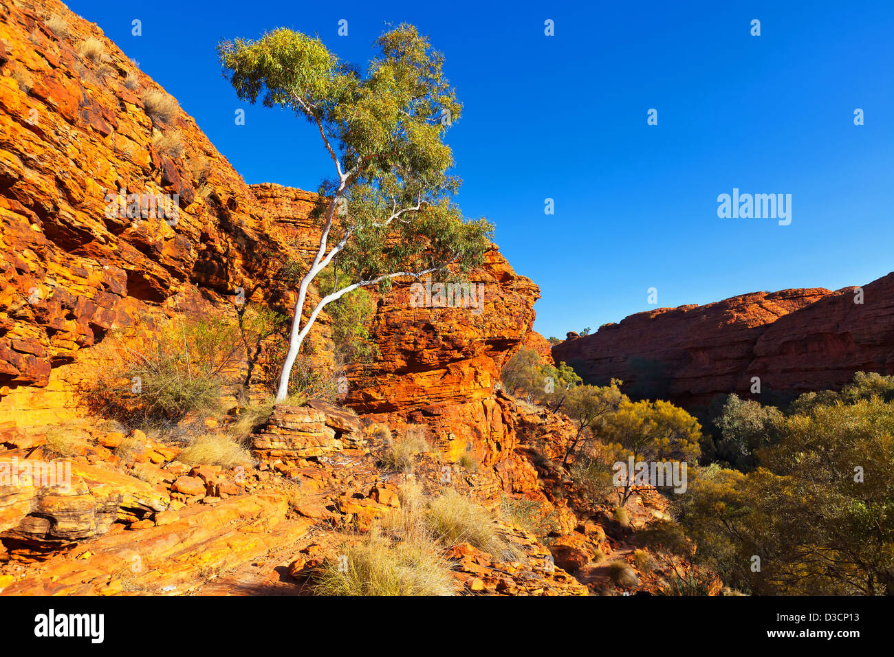 Kings Canyon Central Australia Northern territory Stock Photo - Alamy