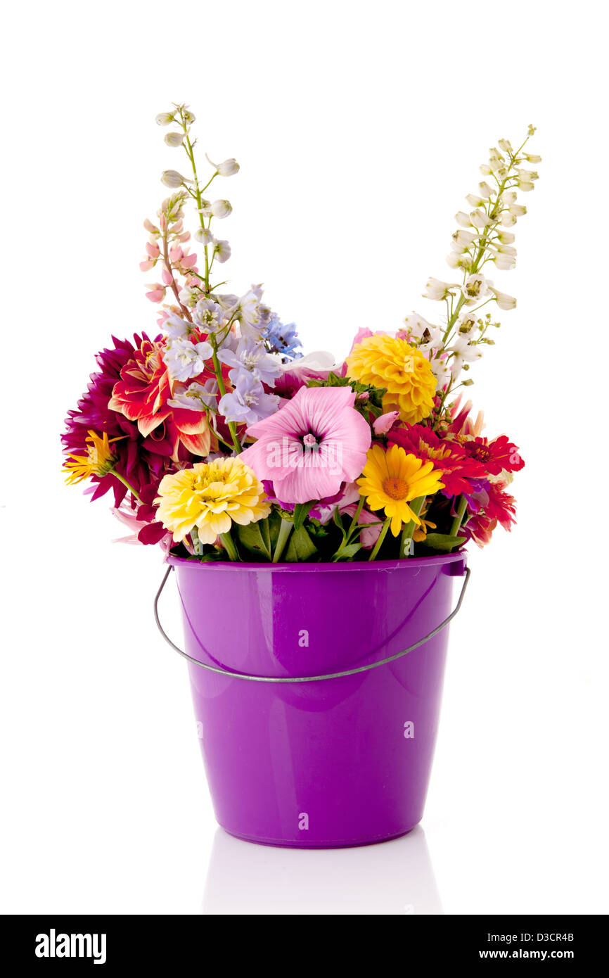 Purple plastic bucket mixed garden flowers Stock Photo - Alamy