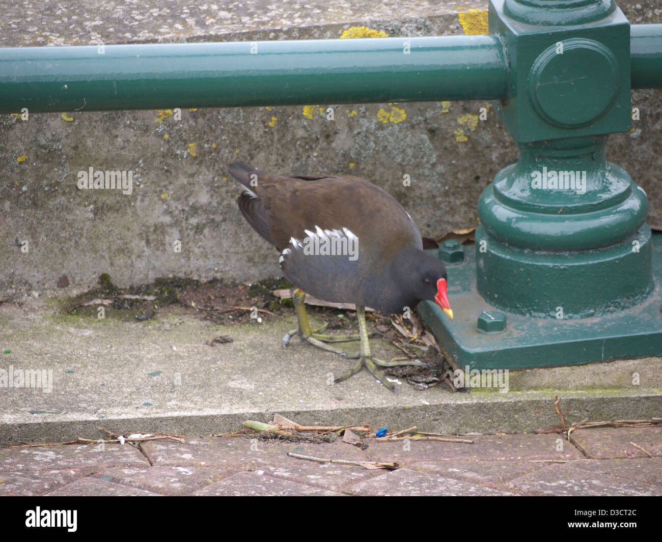 River freshney hi-res stock photography and images - Alamy