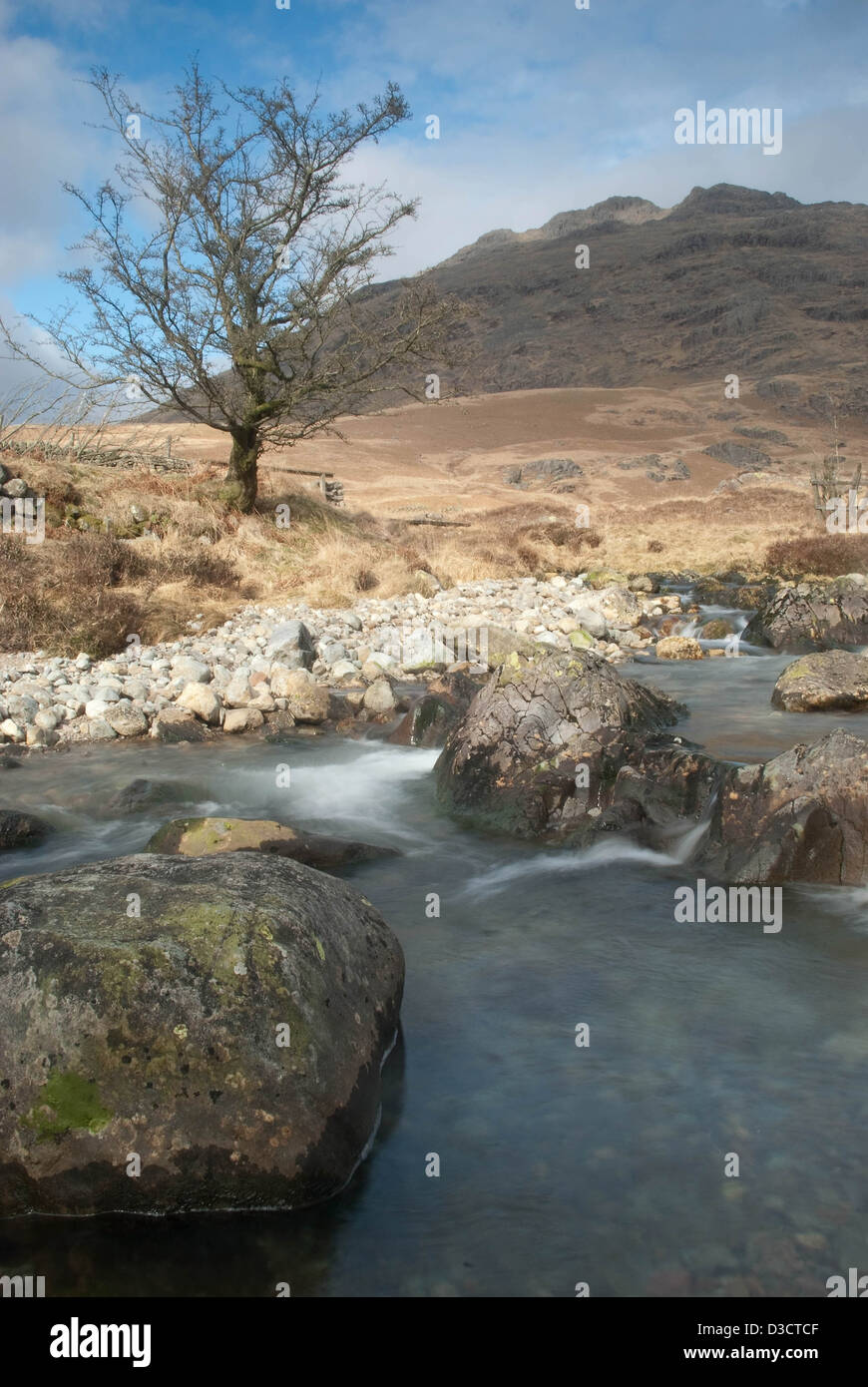 Cockley hi-res stock photography and images - Alamy