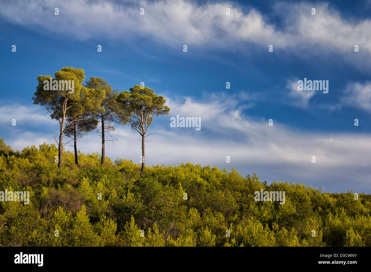 The Garraf Natural Park known as the Catalan Coastal Mountain in ...