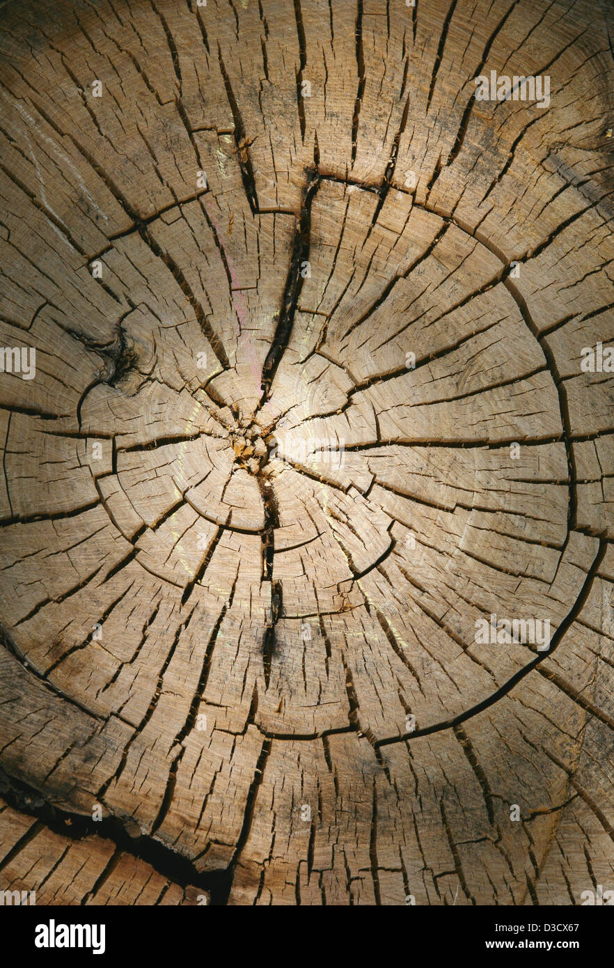 Full screen high resolution shot of wood. Good for a texture or a ...