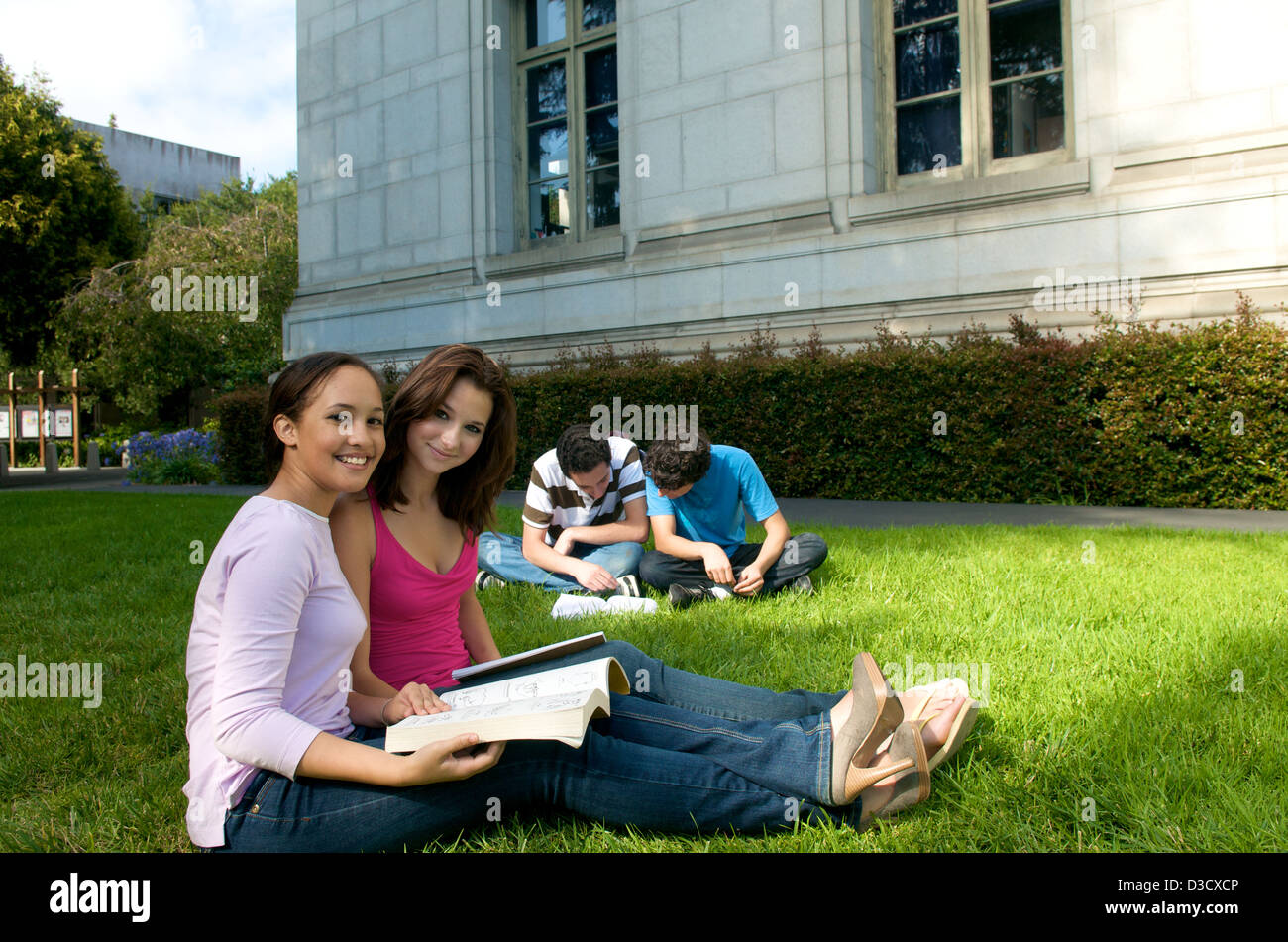 Group of students study in nature outdoor Stock Photo - Alamy