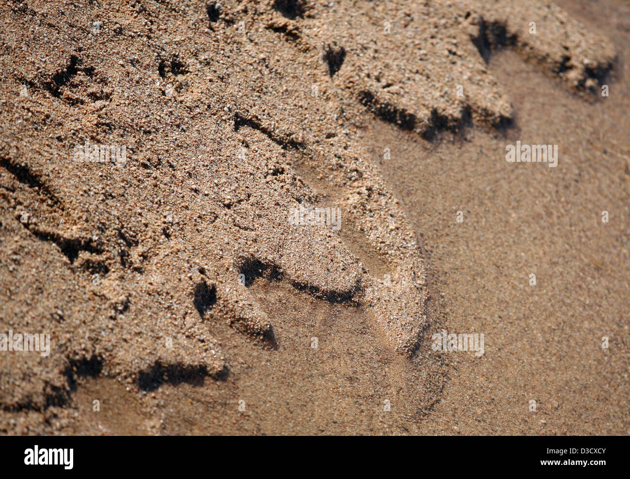 Waves of sand - formed of wind and water Stock Photo - Alamy