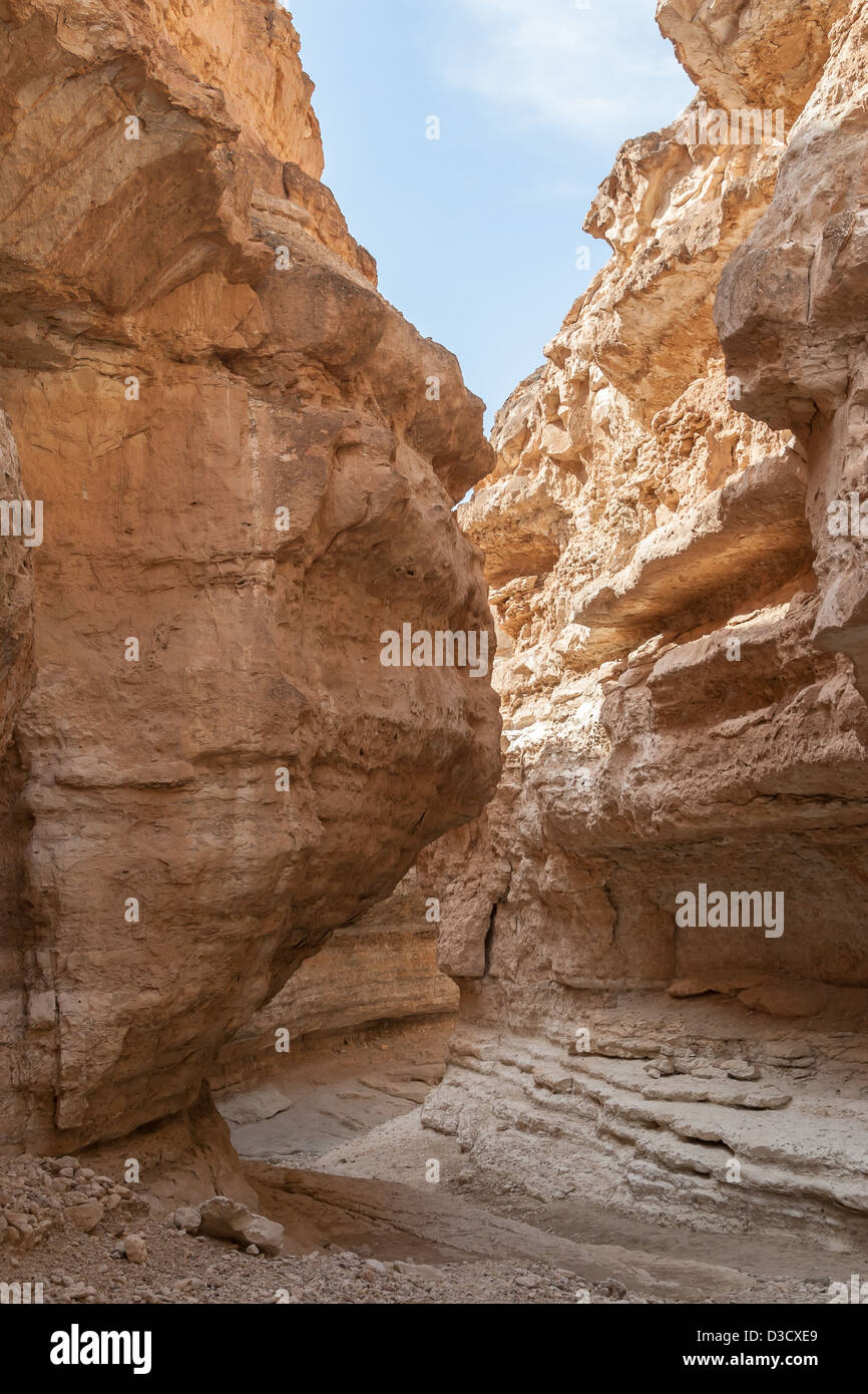 Oasis tamerza hi-res stock photography and images - Alamy