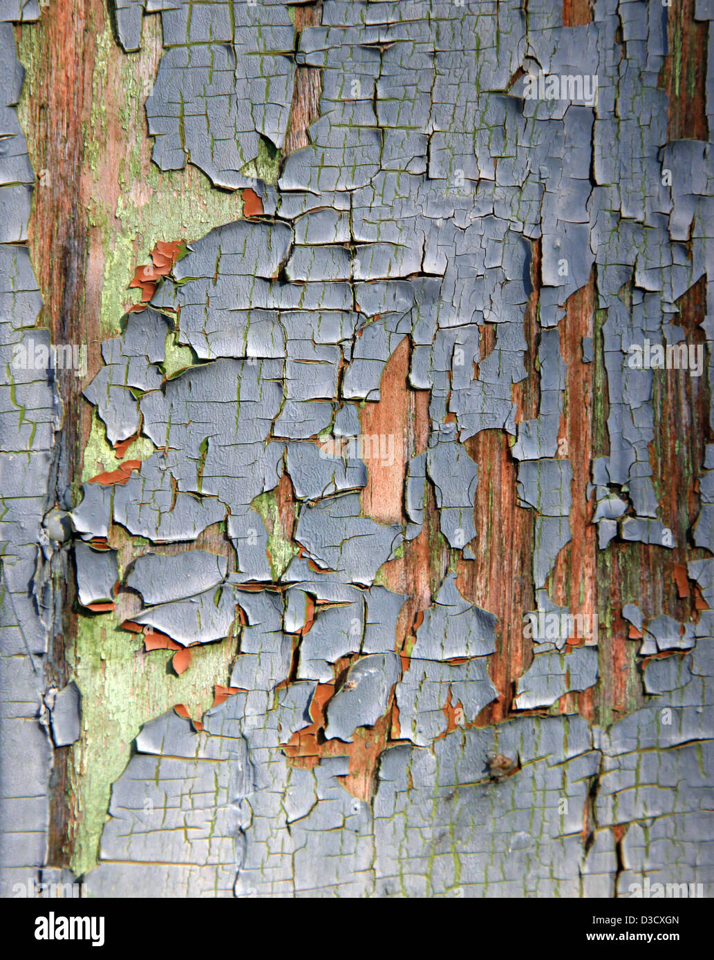 Full screen high resolution shot of wood. Good for a texture or a ...