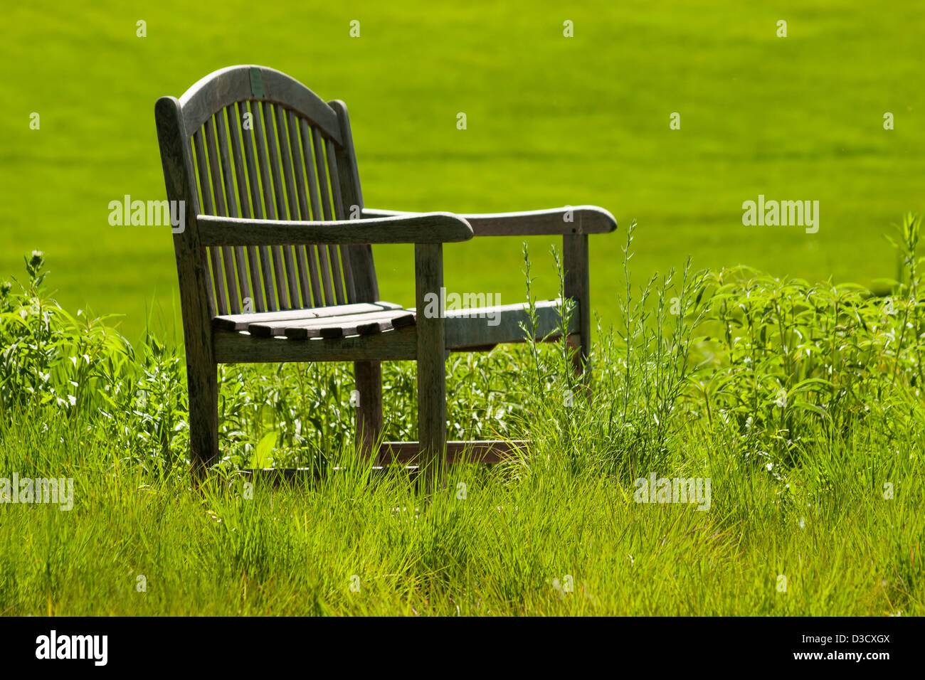 Empty bench in city park Stock Photo - Alamy